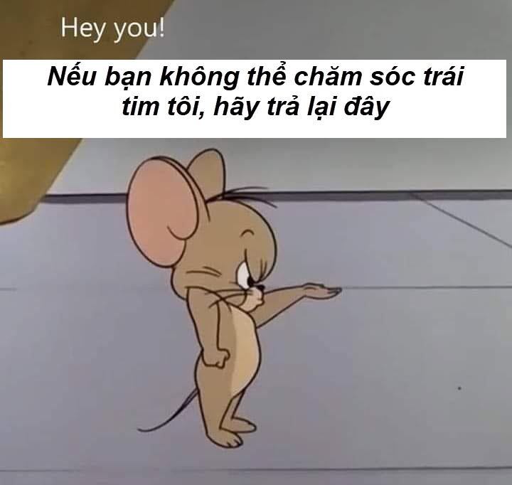 List 30+ Meme Tom and Jerry đáng yêu, hài hước, lầy