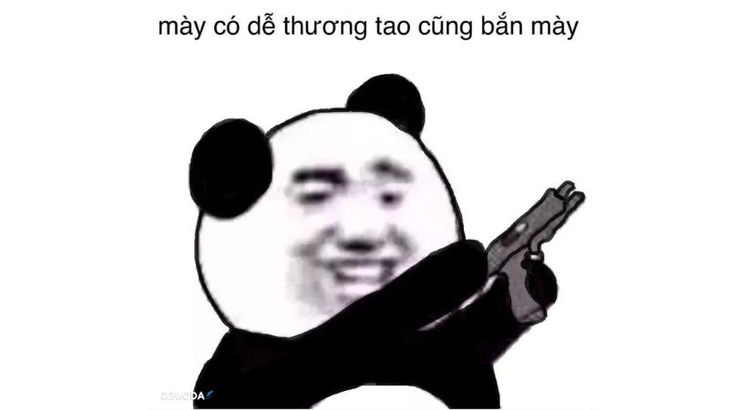 Không gian ảnh meme có chữ hài hước nhất 2025 cho bạn!