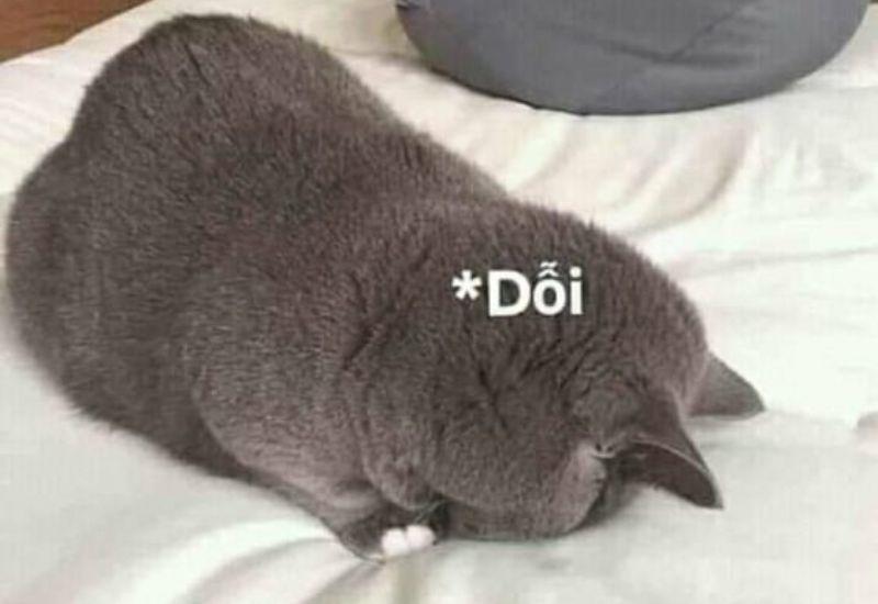Trọn bộ Meme dỗi cute, dỗi người yêu hài hước ngọt ngào