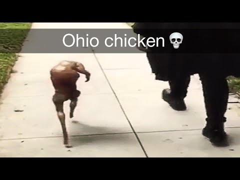 Ohio là gì? Ý nghĩa của từ Ohio xuất hiện trong meme