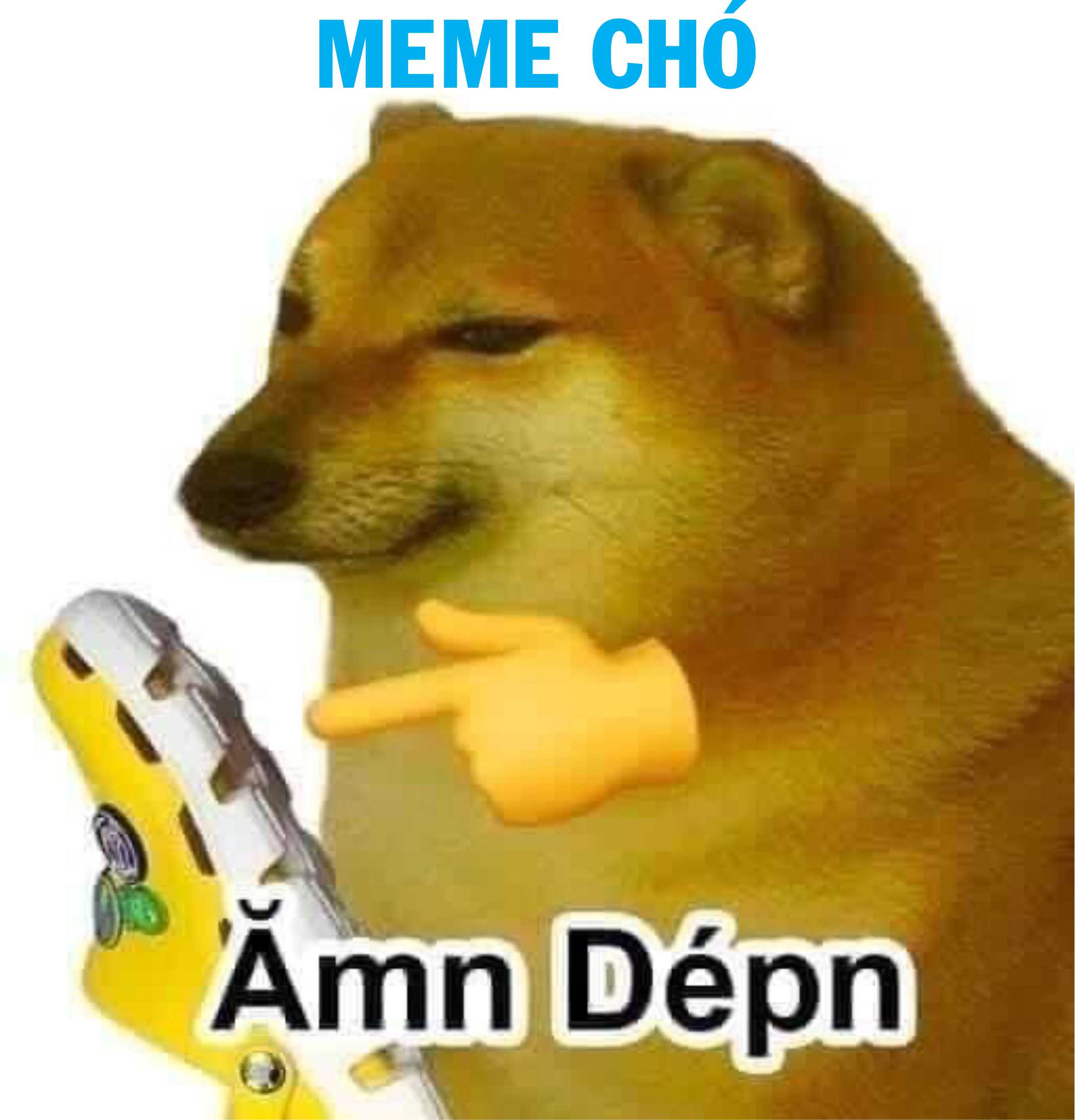 Ảnh meme chó siêu cute mang đến phút thư giãn tuyệt vời 2025
