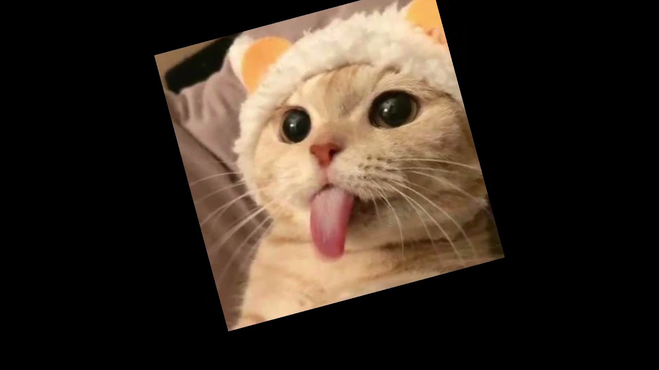 Meme lêu lêu: cập nhật xu hướng hài hước 2025 cho giới trẻ