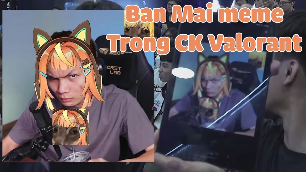Meme Sangtraan: tận hưởng những khoảnh khắc vui nhộn 2025