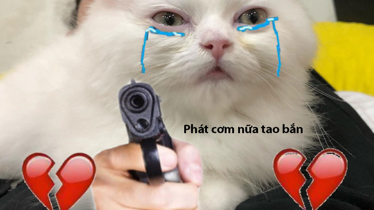 Cơm chó meme: ấn tượng mạnh cùng những khoảnh khắc yêu thương lãng mạn