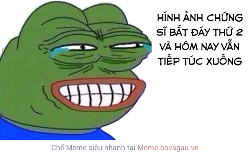 Con ếch xanh meme sáng tạo độc đáo làm mưa làm gió 2025