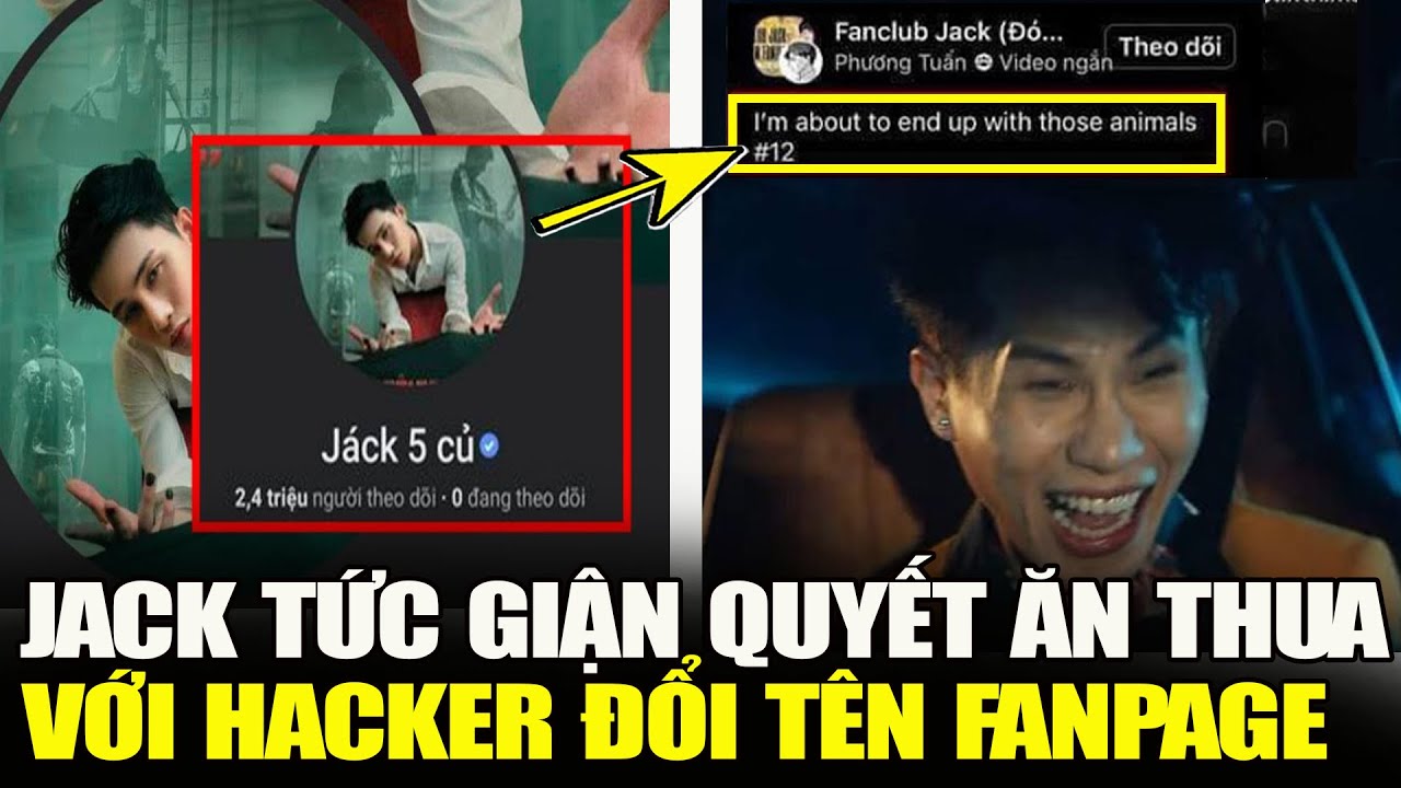 Jack 5 củ meme: làm mới không gian sống động thời thượng 2025
