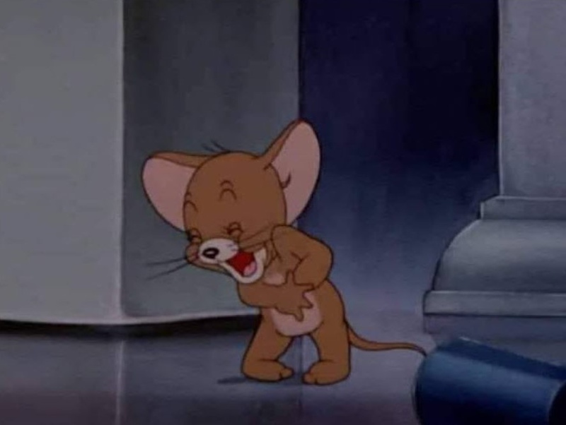 Hòa mình vào meme chuột Jerry siêu buồn cười cho người khó ngủ!