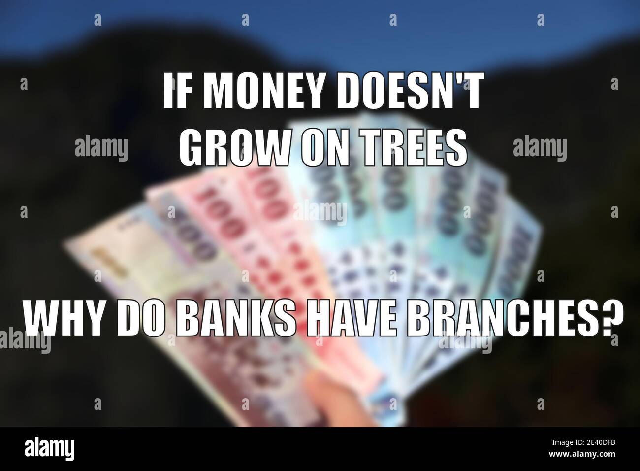 Money meme không gian sống động, cười thả ga cùng bạn bè