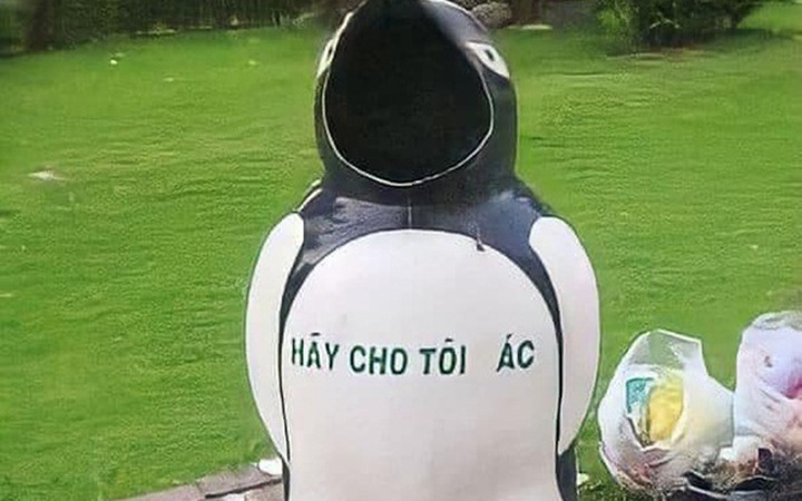 Thư giãn cùng bộ meme chim cánh cụt hài hước nhất 2025