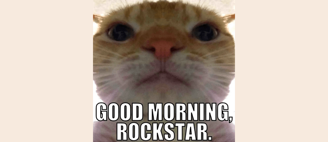 Thả mình vào bộ sưu tập good morning meme độc đáo 2025