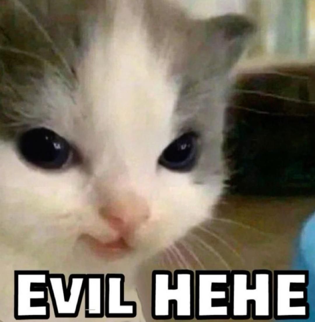 Ấn tượng mạnh cùng hehe meme - nụ cười đầy ẩn ý