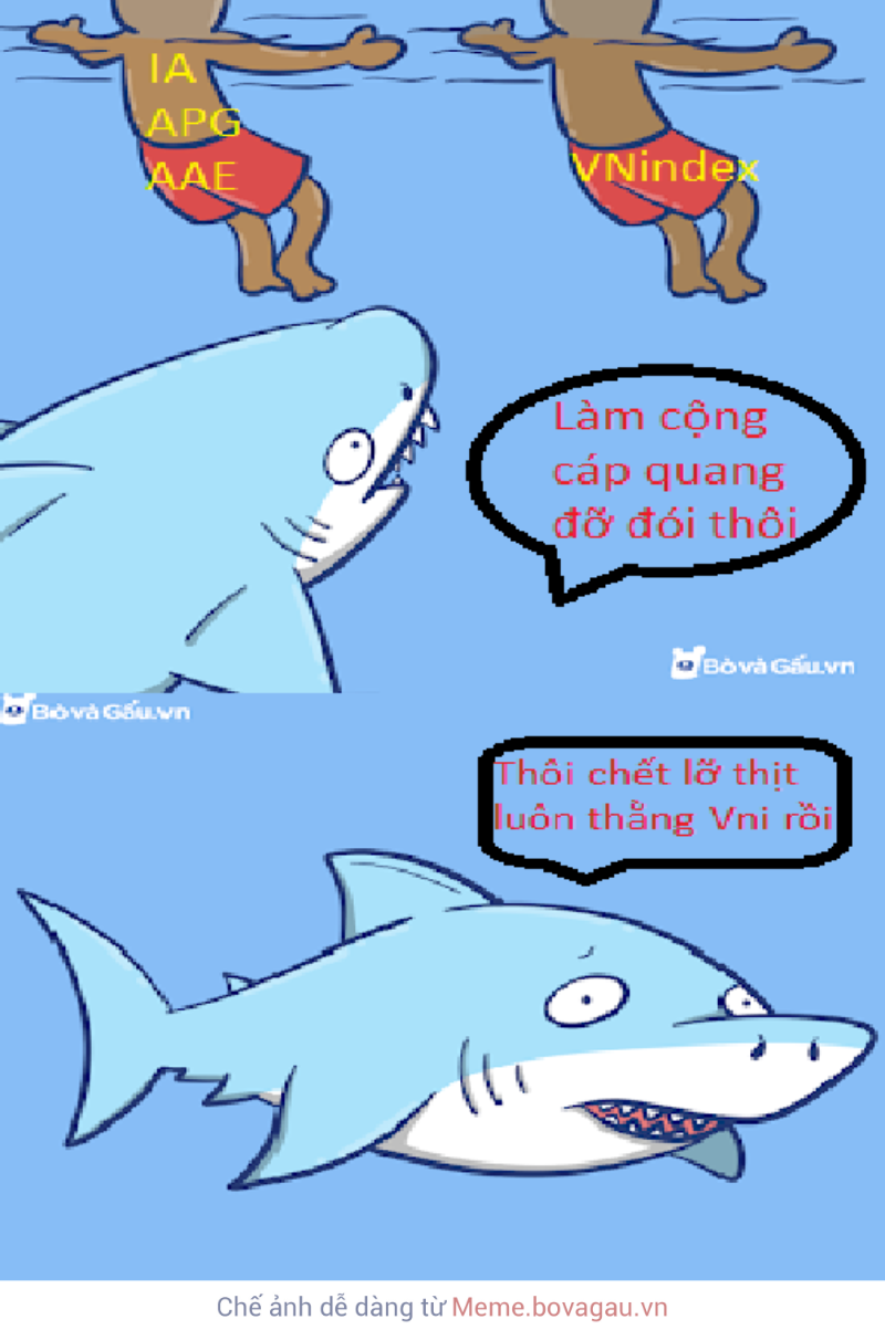 Cá mập meme: năng lượng cười sảng khoái nhất hiện nay 2025