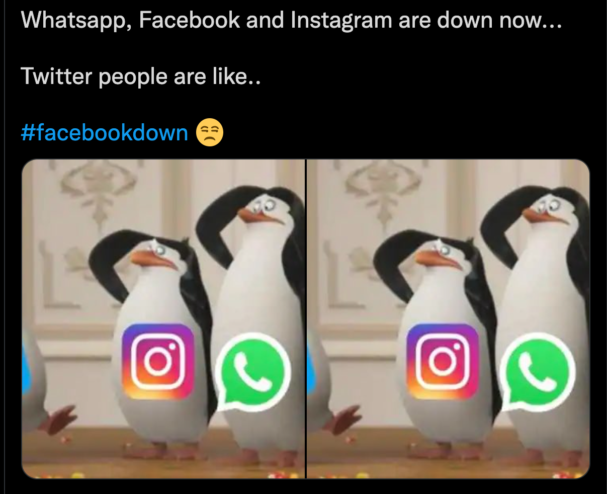 Thư giãn cùng bộ meme chim cánh cụt hài hước nhất 2025