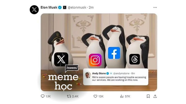 Thư giãn cùng bộ meme chim cánh cụt hài hước nhất 2025