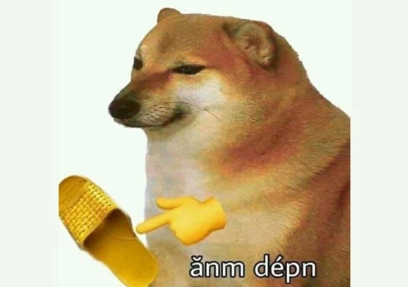 Meme chó cười: hòa mình vào tiếng cười siêu đáng yêu 2025