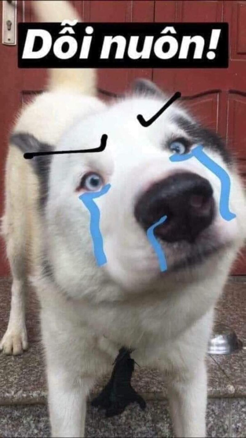 Trọn bộ Meme dỗi cute, dỗi người yêu hài hước ngọt ngào