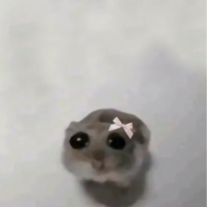 Sống động thời thượng với meme chuột hamster cực vui nhộn 2025