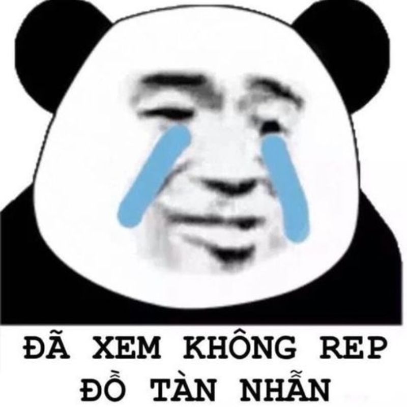 Full 32+ meme gấu trúc hài hước, ngạc nhiên, bựa, cute