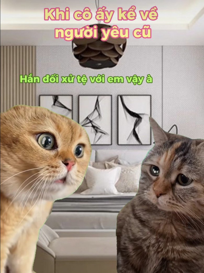 Meme đau lòng đầy tinh tế, chạm đến trái tim người xem 2025