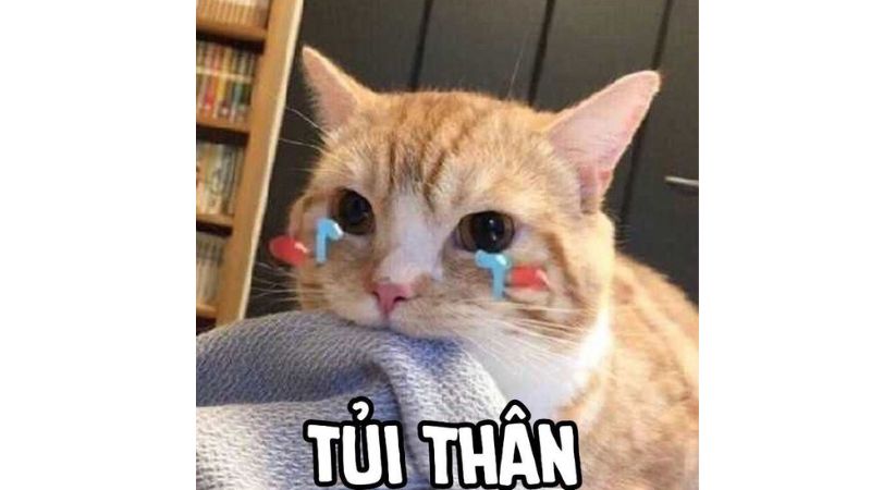 Meme đau lòng đầy tinh tế, chạm đến trái tim người xem 2025