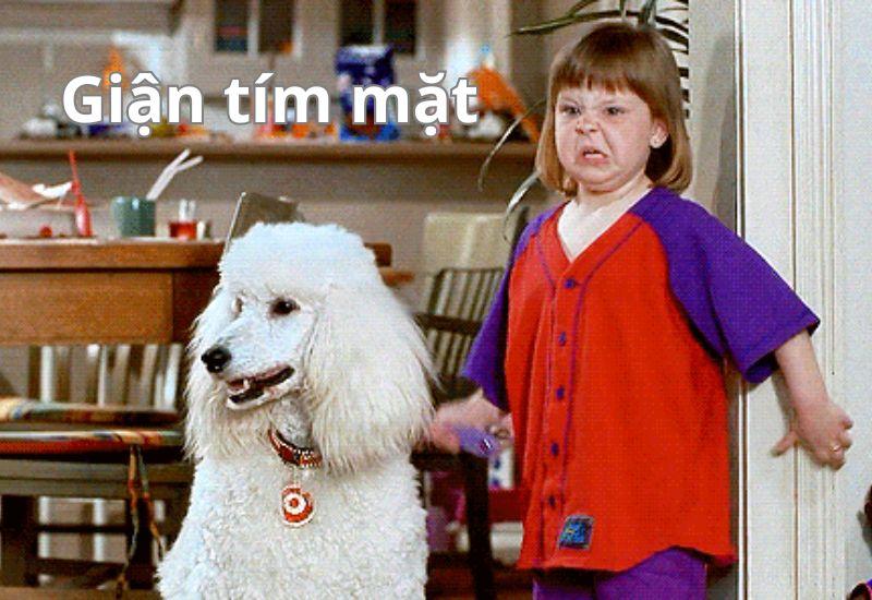 Trọn bộ Meme dỗi cute, dỗi người yêu hài hước ngọt ngào