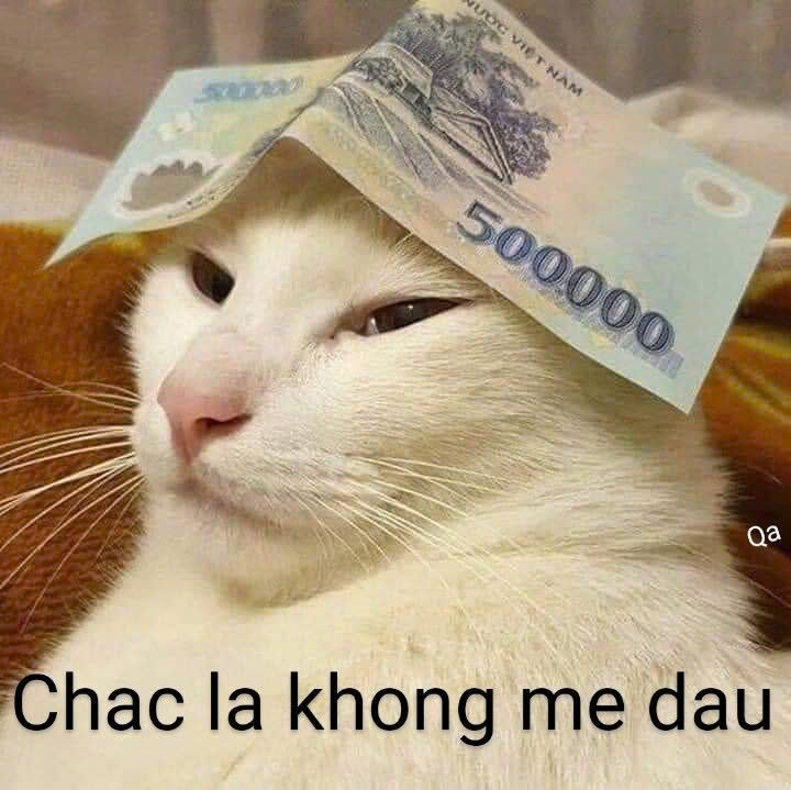 Meme đưa tiền: thưởng thức nghệ thuật hài hước độc đáo 2025