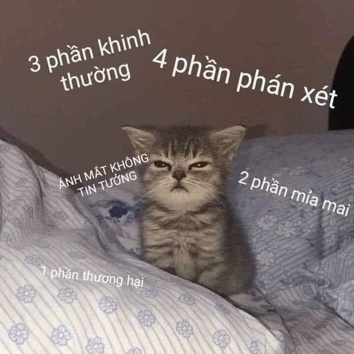 Meme khinh bỉ thêm phần quyến rũ cho những tình huống cạn lời