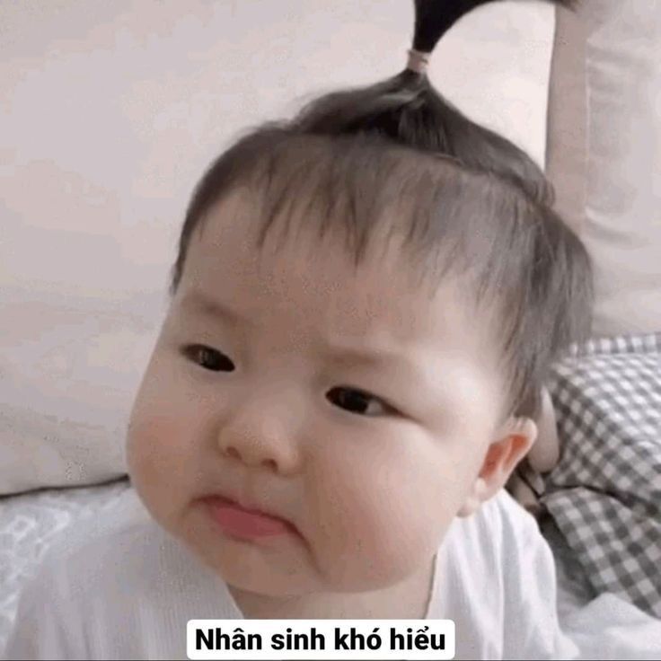 Sống động cùng meme khó hiểu khiến bạn cười ngất 2025