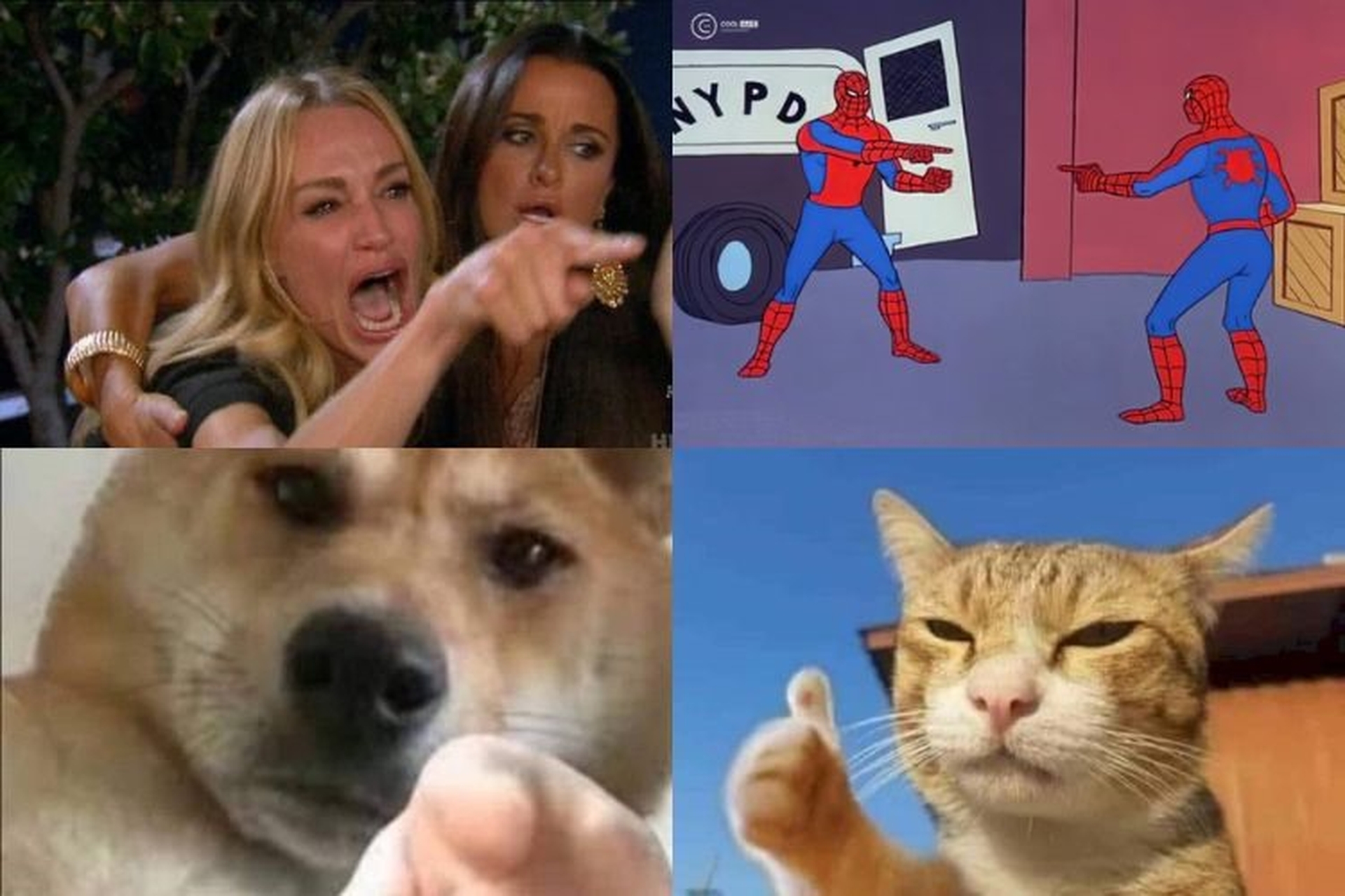 Meme spiderman chỉ nhau: đắm mình trong sắc màu hài hước 2025