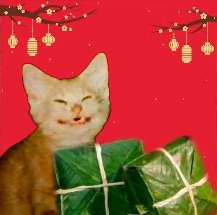 Đậm chất riêng với mèo meme tết siêu hài hước không thể bỏ lỡ 2025
