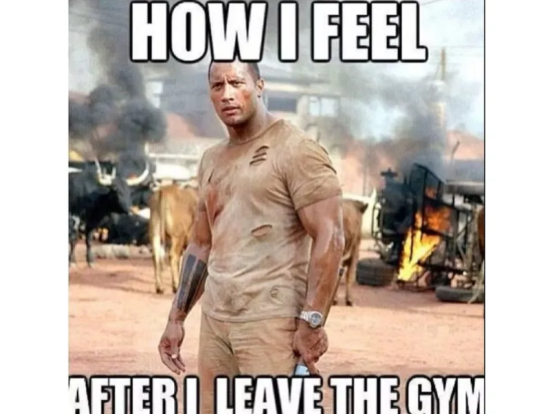 Tạo phong cách meme the rock hài hước cho dân mạng 2025