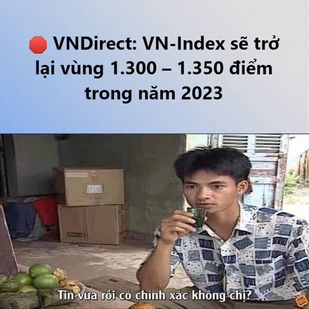 Meme tin chuẩn chưa anh: đắm mình trong thế giới hài hước 2025