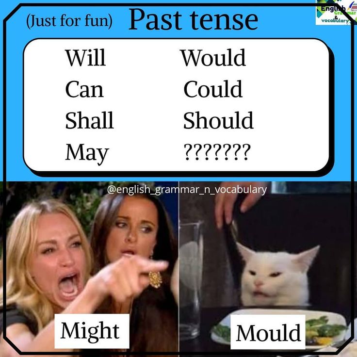 Trải nghiệm hiện đại cùng những ielts meme thú vị năm 2025