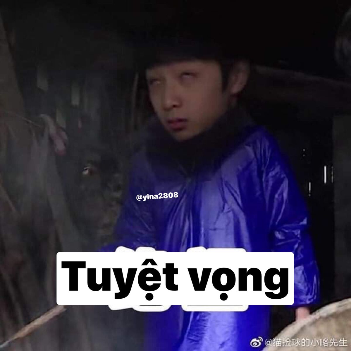 Tạo phong cách với meme tuyệt vọng: nỗi đau như cắt, như xé lòng