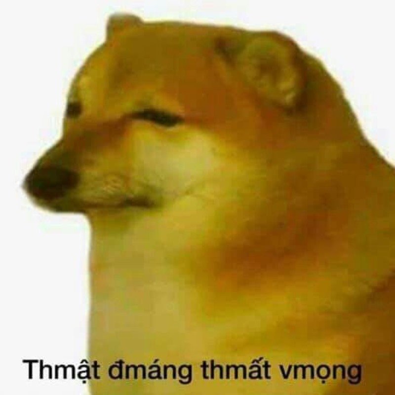 Tạo phong cách với meme tuyệt vọng: nỗi đau như cắt, như xé lòng